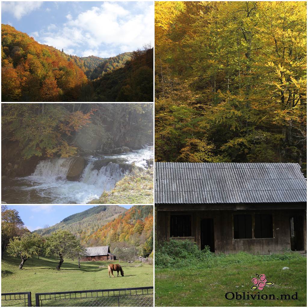 Între Râu Sadului și Sibiu